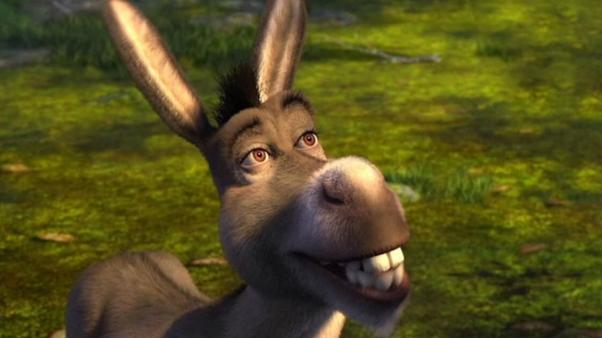 Eddie Murphy zou graag terugkeren als Donkey in eventuele 'Shrek 5' of ...
