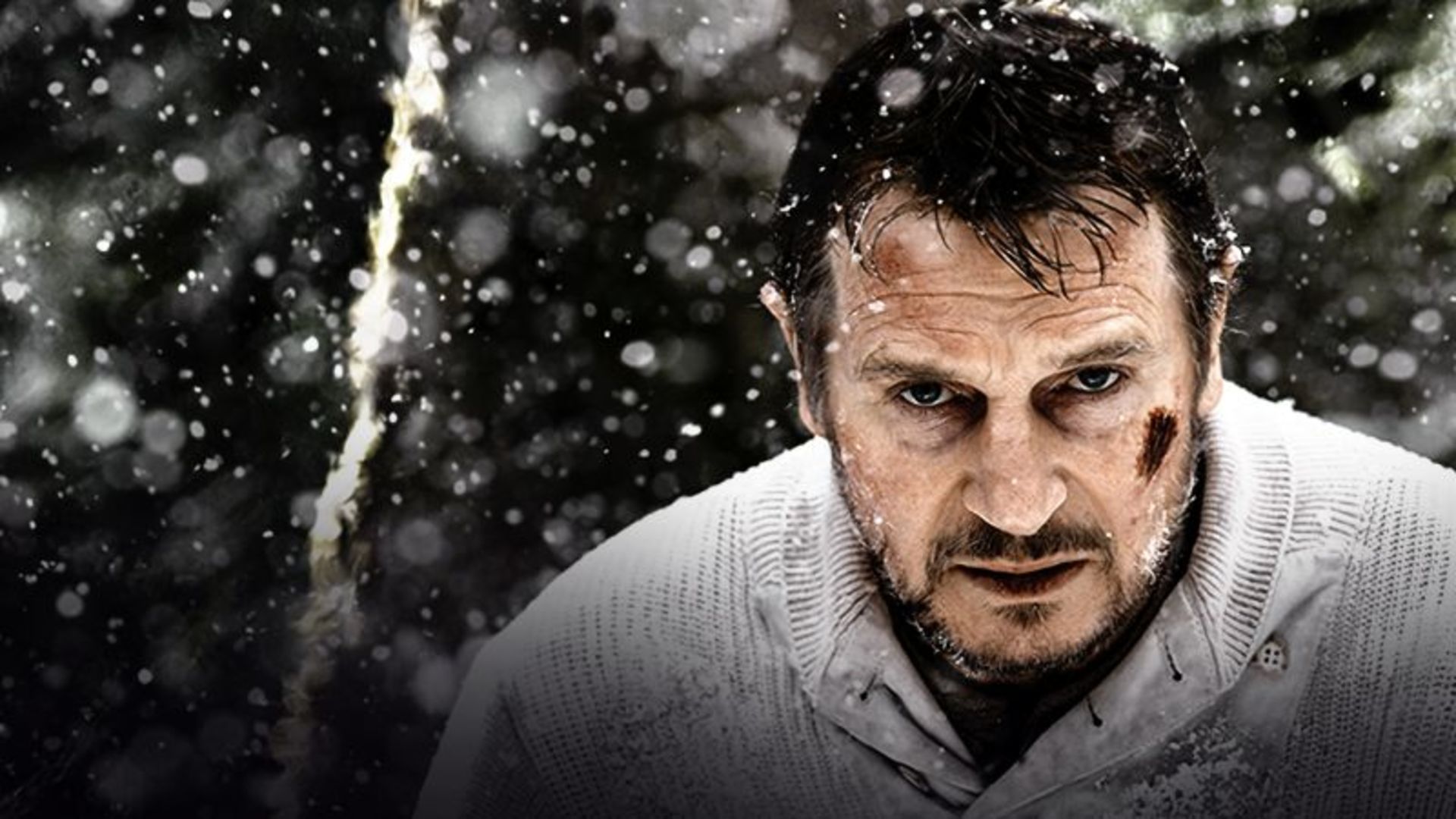 Het vermogen van Liam Neeson (71): Is het genoeg om zijn leven als ...