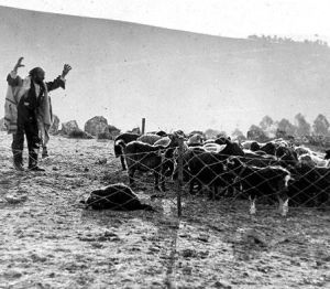 Os Lobos (Film, 1923) - MovieMeter.nl