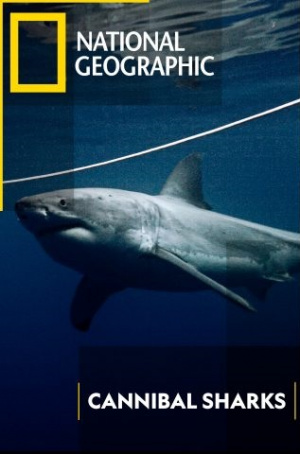 Cannibal Sharks (Film, 2019) - MovieMeter.nl