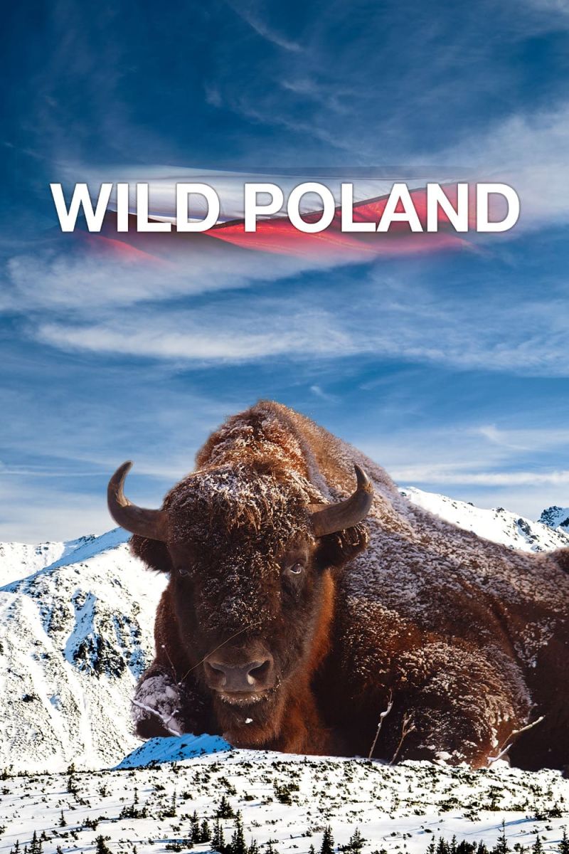 Wildes Polen - Tatra, Ostsee und Masuren (Film, 2012) - MovieMeter.nl