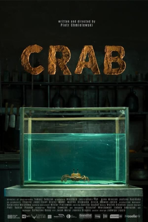 Crab (Film, 2022) - MovieMeter.nl