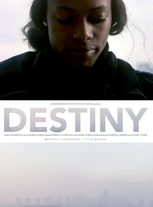 Destiny (Film, 2011) - MovieMeter.nl