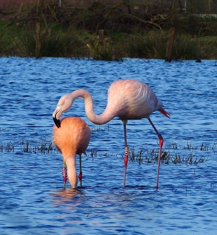 Nebula (Film, 2024) - MovieMeter.nl