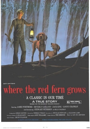 Where the Red Fern Grows (Film, 1974) - MovieMeter.nl