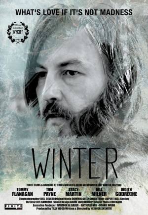 Winter (Film, 2015) - MovieMeter.nl