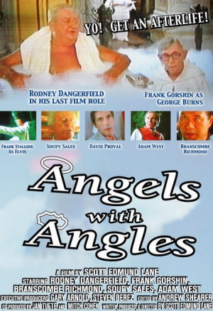 Angels with Angles (Film, 2005) - MovieMeter.nl